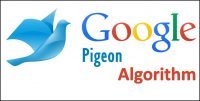 Google Pigeon Algorithm: A Complete Guide To Google Pigeon Updates